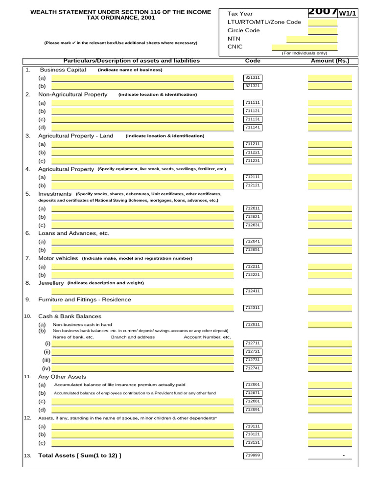 Wealth Statement 1 | PDF | Balance Sheet | Overdraft