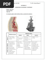 Vena Ácigos y Hemiácigos | PDF | Historia | Clásicos