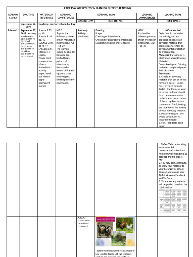 RAISEPlus Q1 W2 Sept 26-29, 2022 | PDF | Dominance (Genetics) | Genotype