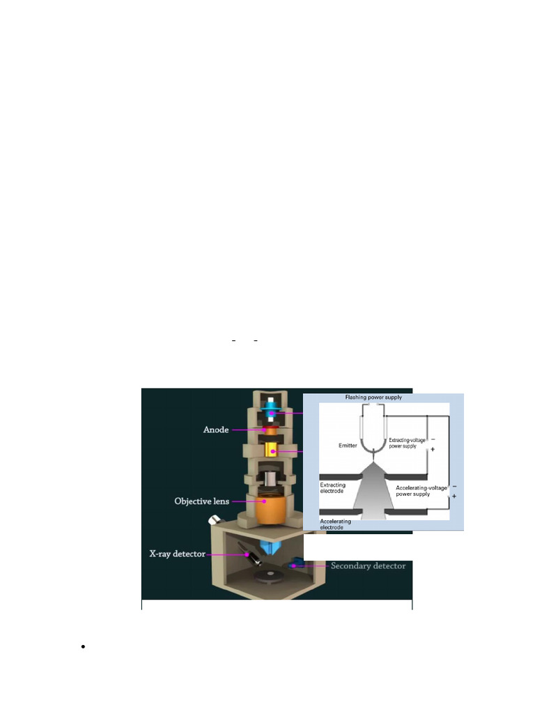 Demo_SEM | PDF | Scanning Electron Microscope | Electron