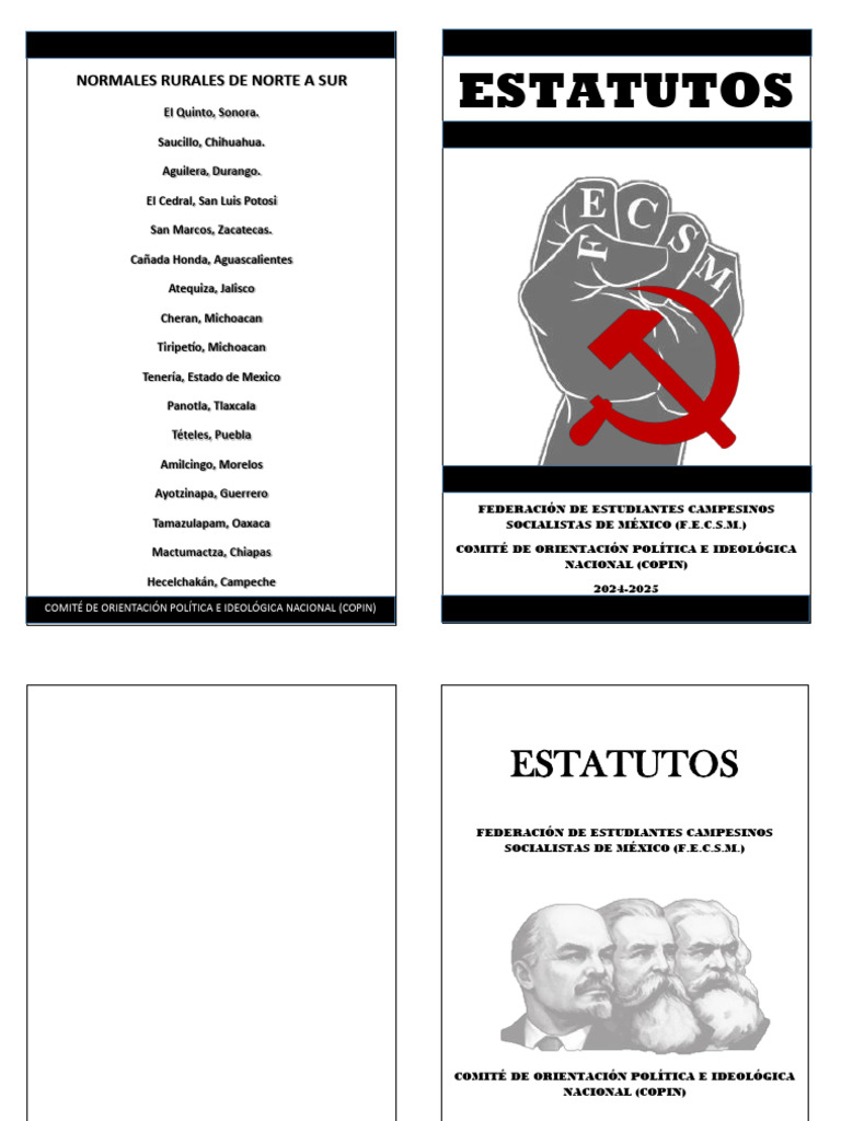 Estatutos Fecsm 2024-2025 Folleto | PDF | México | Democracia