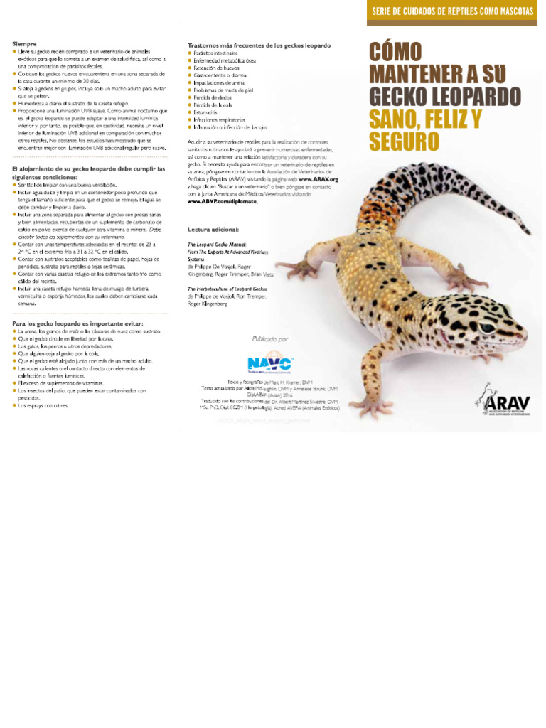 Leopard Gecko Spanish ARAV | PDF
