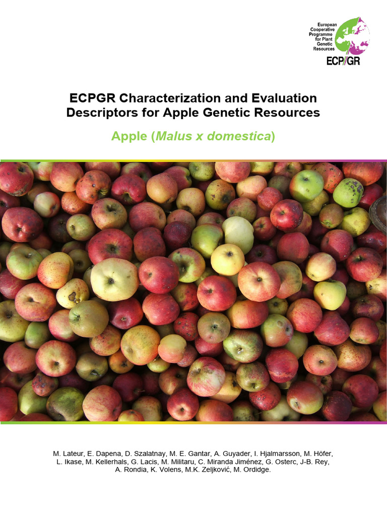 Apple Genetic Resources Evaluation Guide | PDF | Apple | Plants