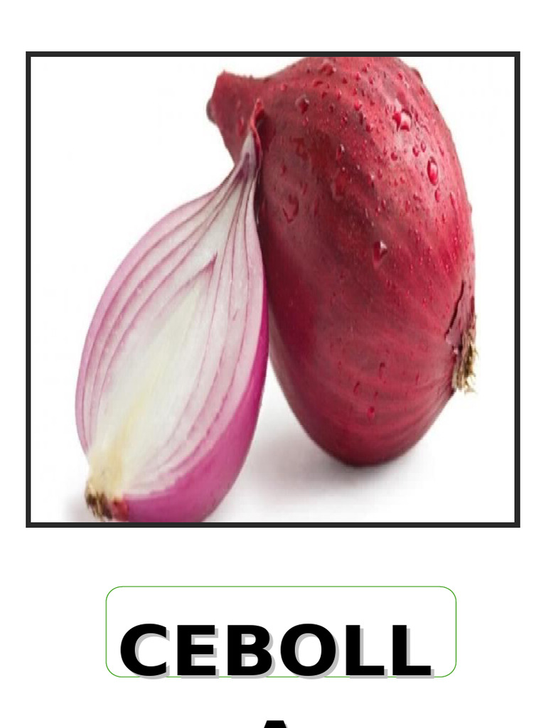 CEBOLLA | PDF