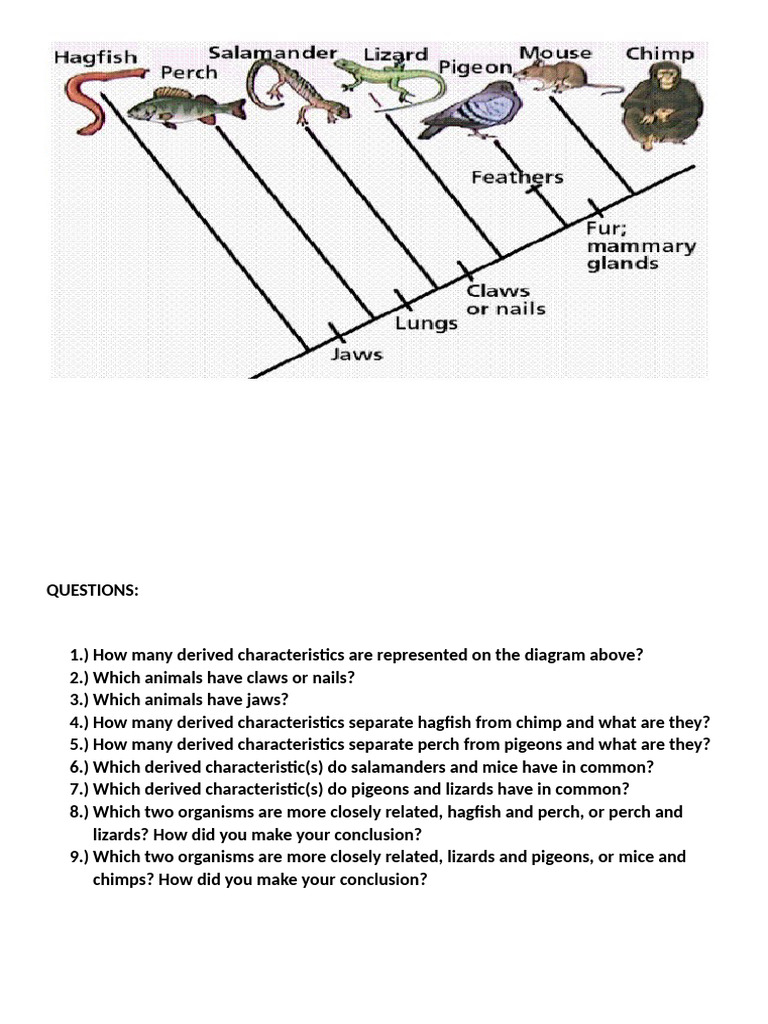 CLADOGRAM LAB | PDF
