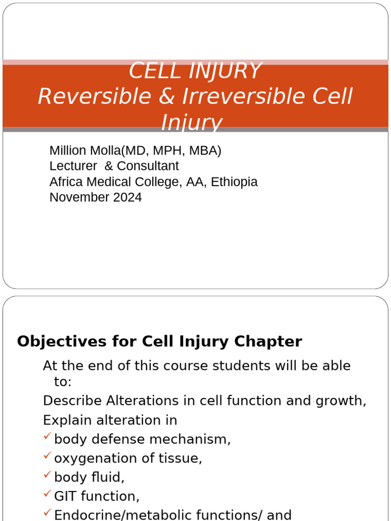 2 Cell Injury Reversible Irreversible Necrosis and Apoptosis 2 | PDF ...