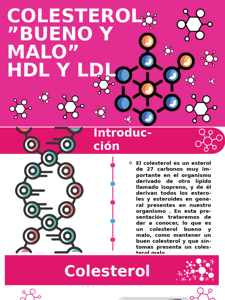 Colesterol | PDF | Colesterol | Lipoproteínas de baja densidad