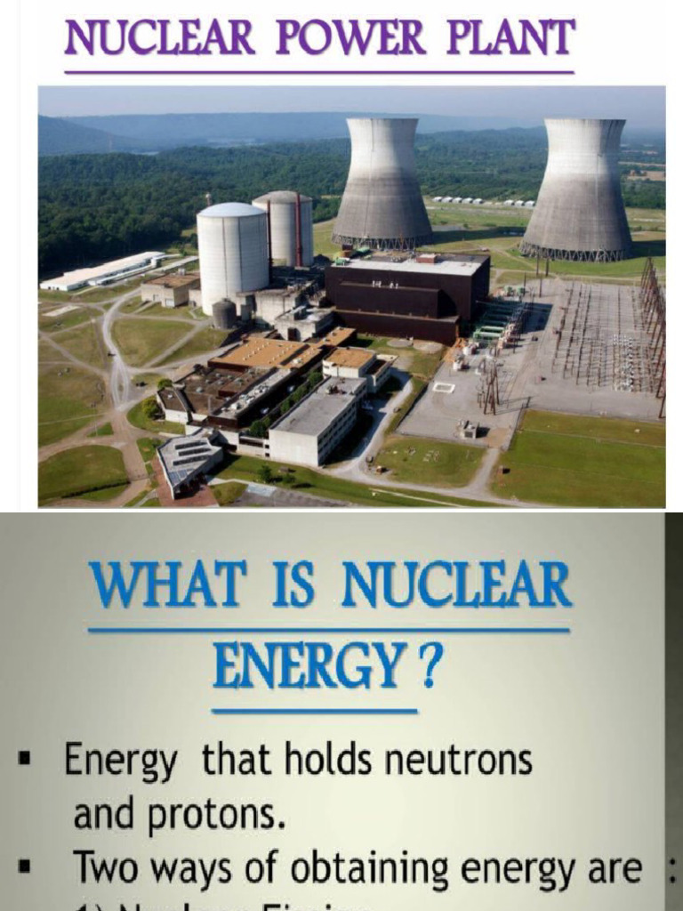 Nuclear Power Plant | PDF | Nuclear Reactor | Pressurized Water Reactor