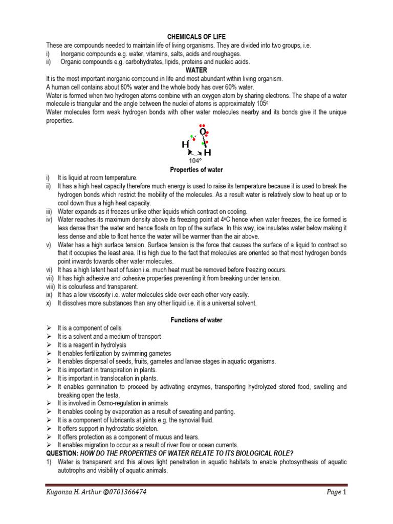 UACE Biology Notes Biochemistry by Kugonza Arthur | PDF | Carbohydrates ...