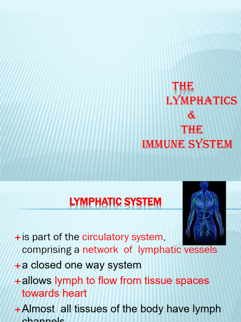 Lymphatic System and Immune Function | PDF | Lymphatic System | Immune ...