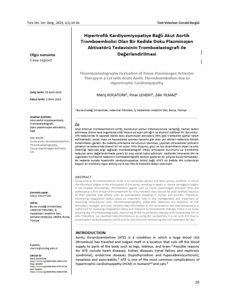 Hipertrofik Kardiyomiyopatiye Ba - L - Akut Aortik Tromboembolisi Olan ...