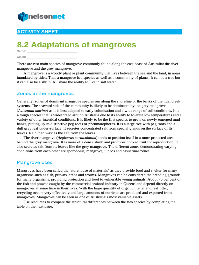 Mangrove Adaptations Activity Sheet | PDF | Mangrove | Leaf