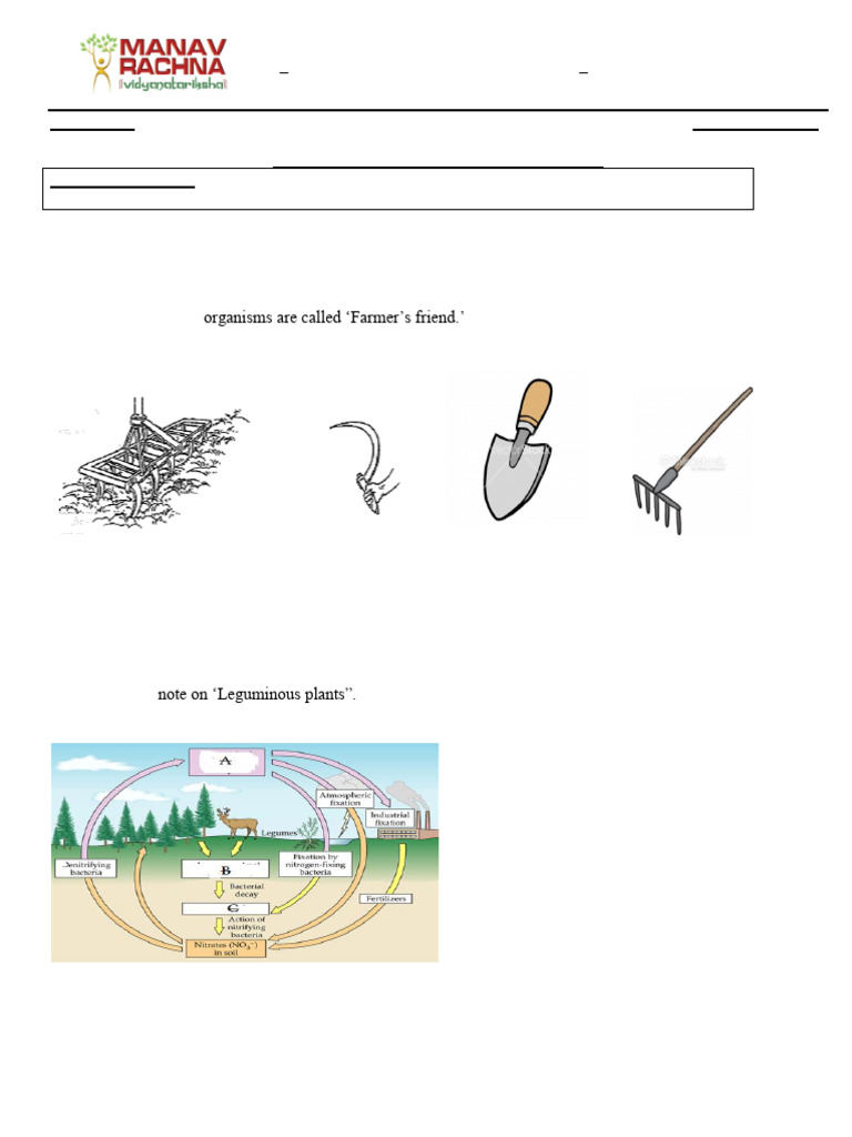 Science Worksheet: Crop Production VIII | PDF | Wheat | Agriculture