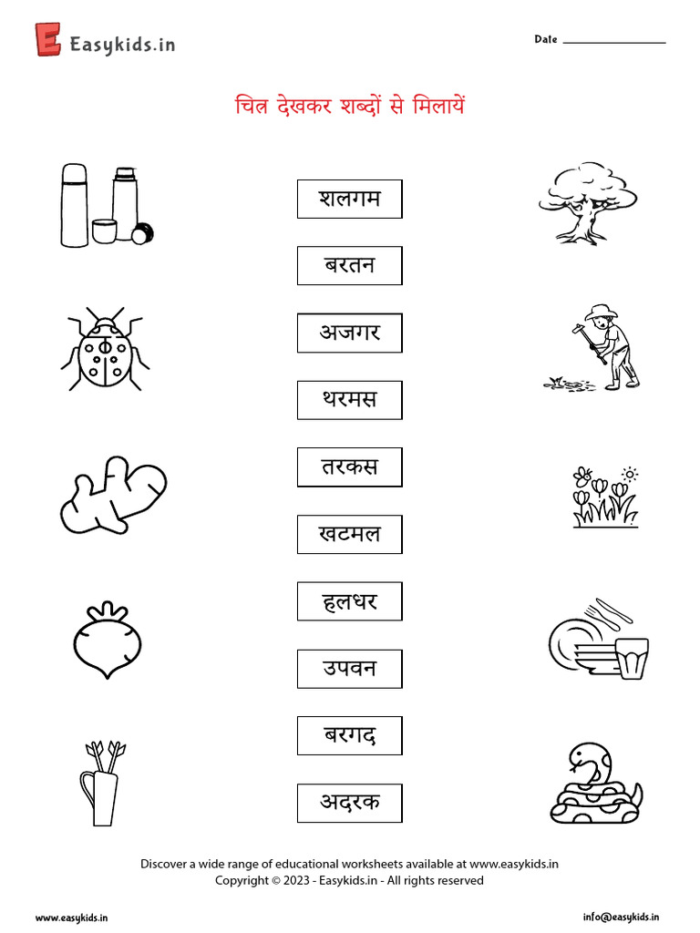 Look and Match | PDF