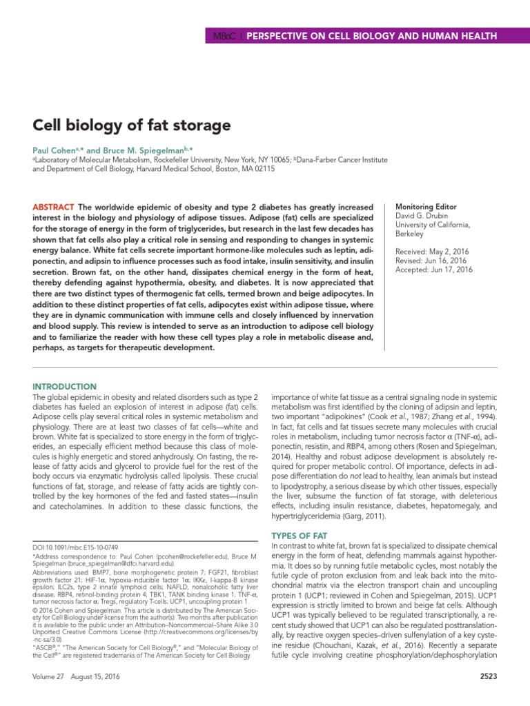 Cell Biology of fat storage | PDF | Adipose Tissue | Adipocyte