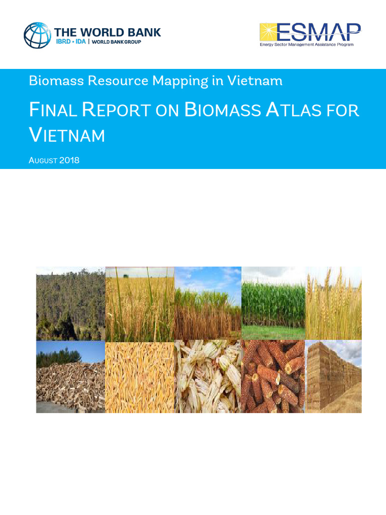 Final Report On Biomass Atlas For Vietnam | PDF | Renewable Energy ...