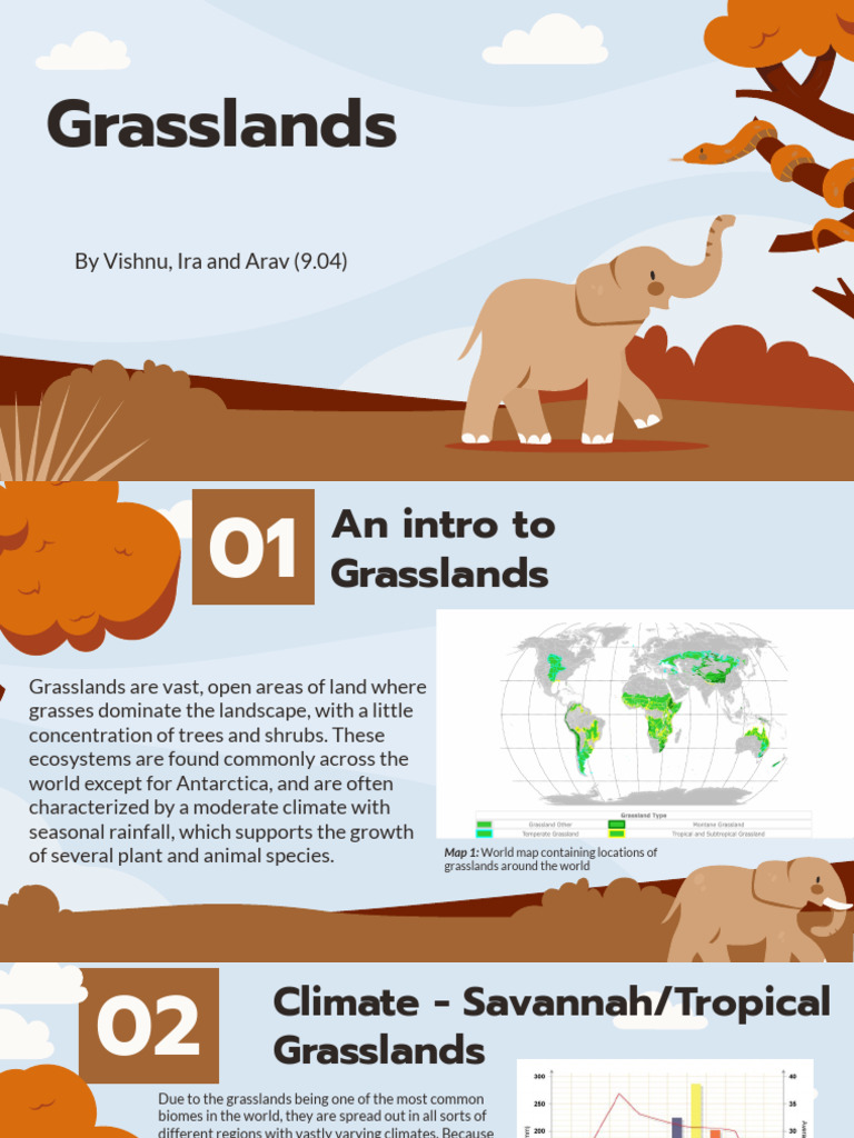 Grasslands Biome Pres | PDF | Grassland | Savanna