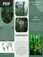Amazon Rainforest Map | PDF