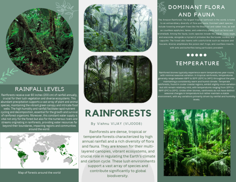 Biomes Brochure | PDF | Rainforest | Canopy (Biology)