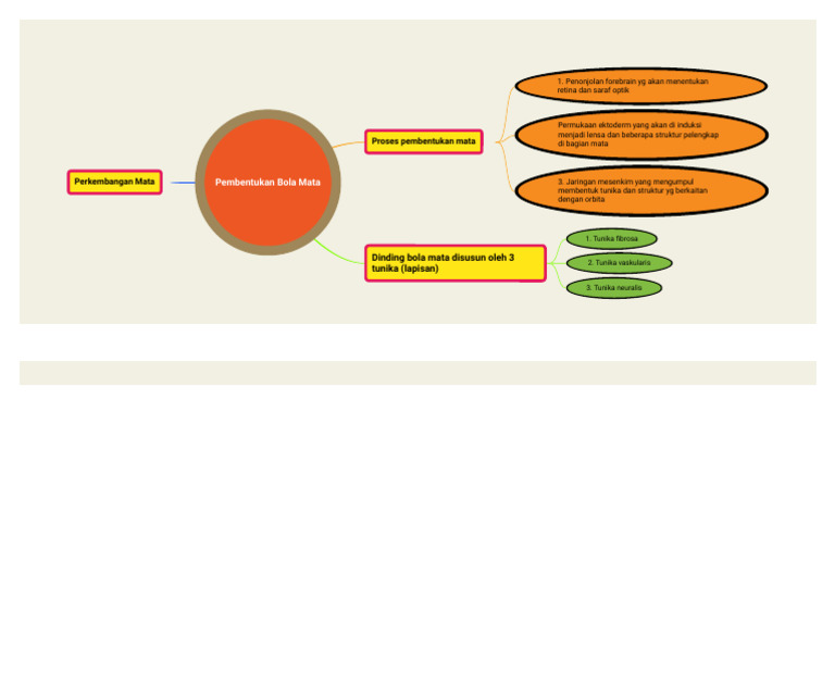 Mind map proses pembentukan bola mata_Endang Ernawati Simanihuruk | PDF