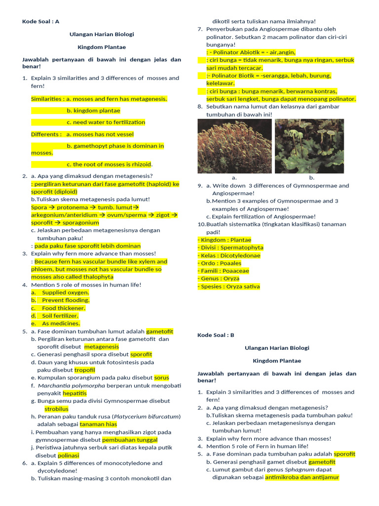 Ulangan Biologi Kelas 10: Kingdom Plantae | PDF