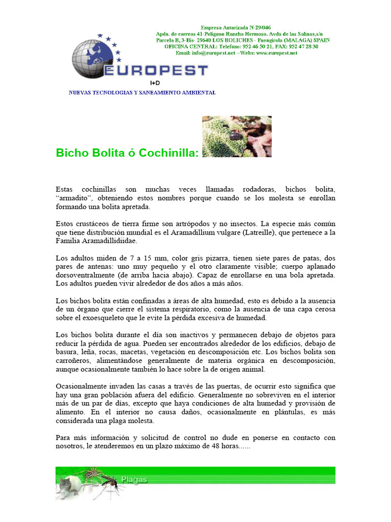 06 Cochinillas de La Humedad o Bicho Bolita | PDF