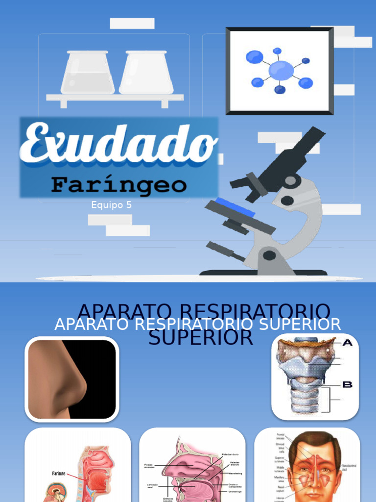 Exudado Faringeo | PDF