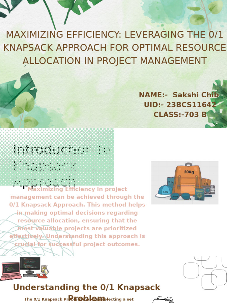 Maximizing Efficiency Leveraging The 01 Knapsack Approach For Optimal Resource Allocation in ...