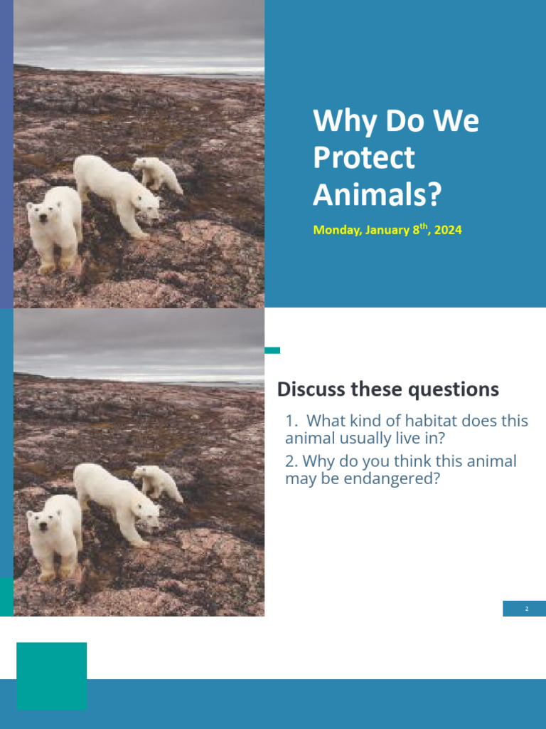 January 8th - Why Do We Protect Animals | PDF