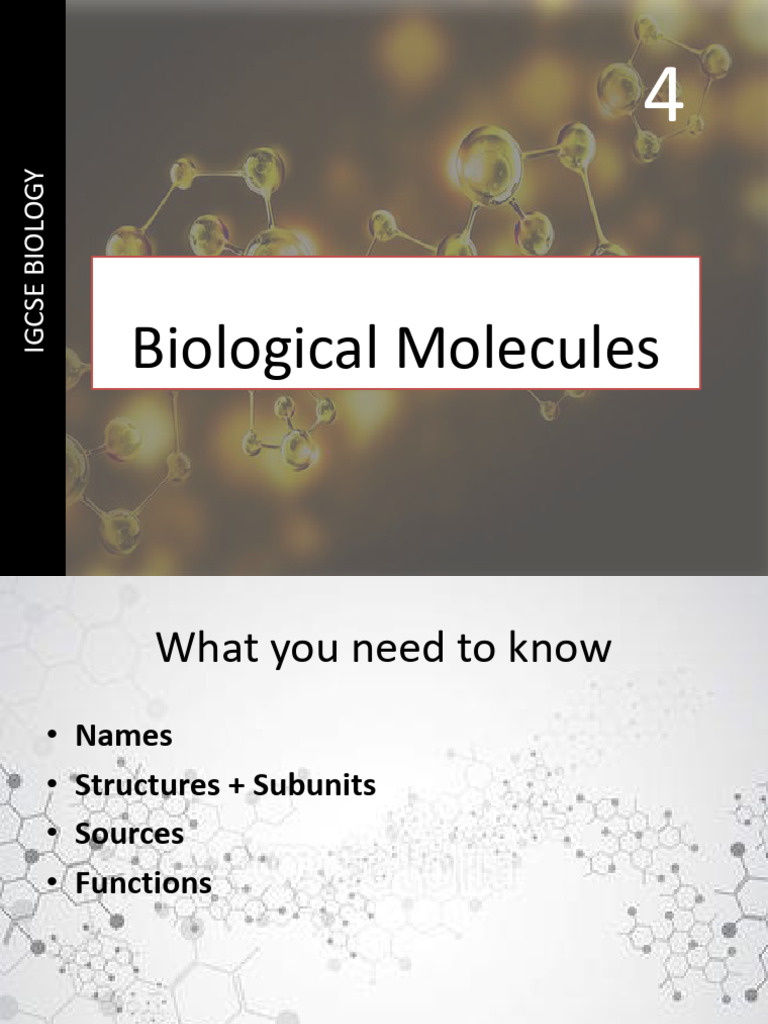 Biological Molecules | PDF | Carbohydrates | Nucleic Acids