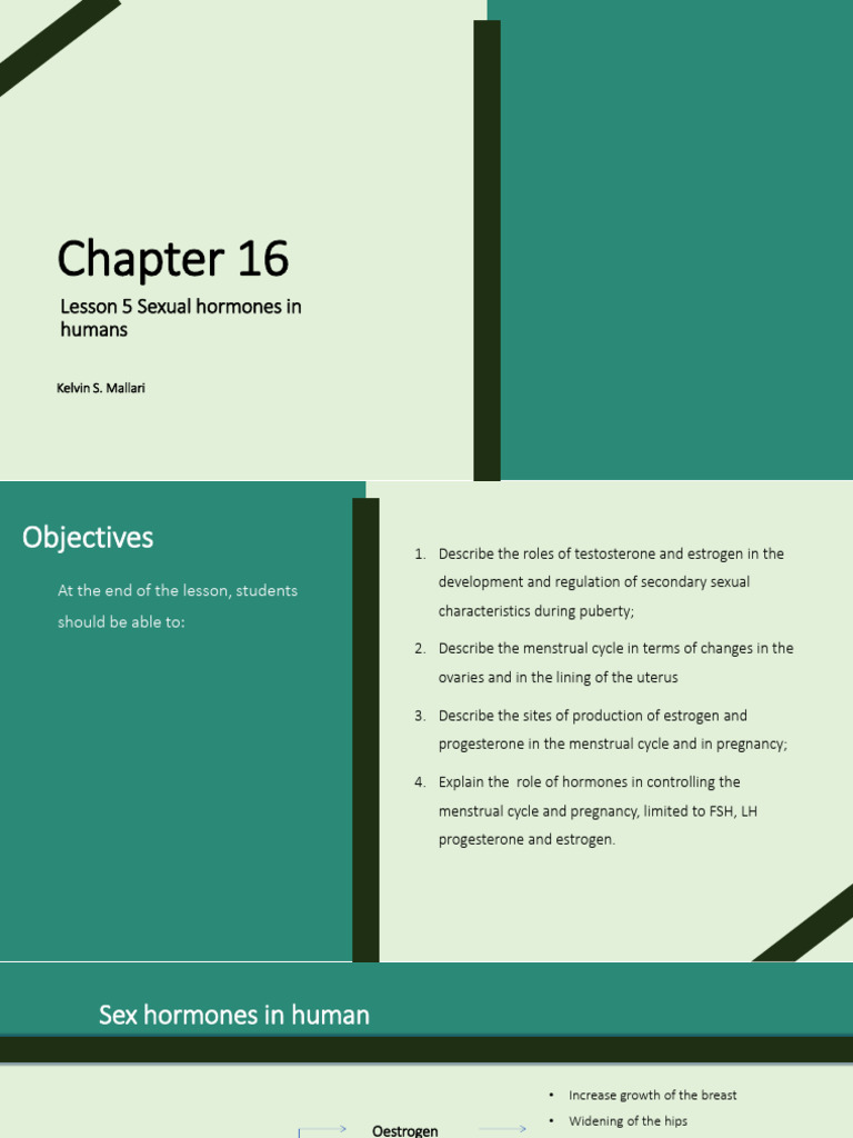 Chapter 16 Lesson 5-6 Sexual Hormones in Human | PDF | Menstrual Cycle ...