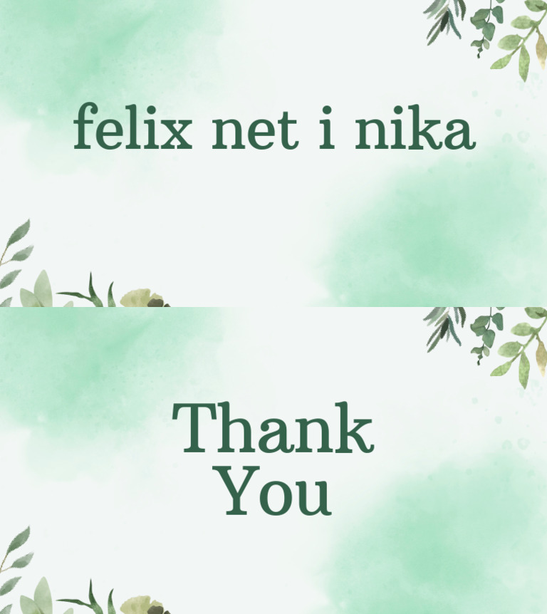 1felix Net i Nika.pdf | PDF