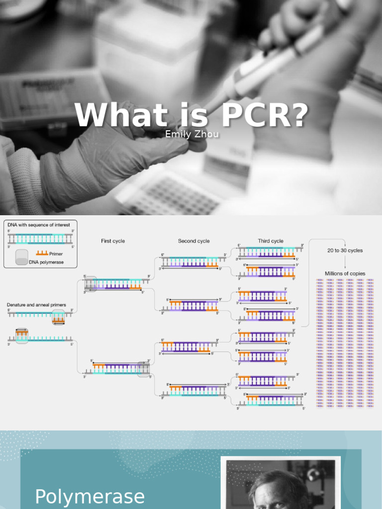 PCR Presentation Slides | PDF