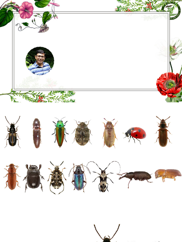 Economic Families of Coleoptera Guide | PDF | Beetle | Insects And Humans