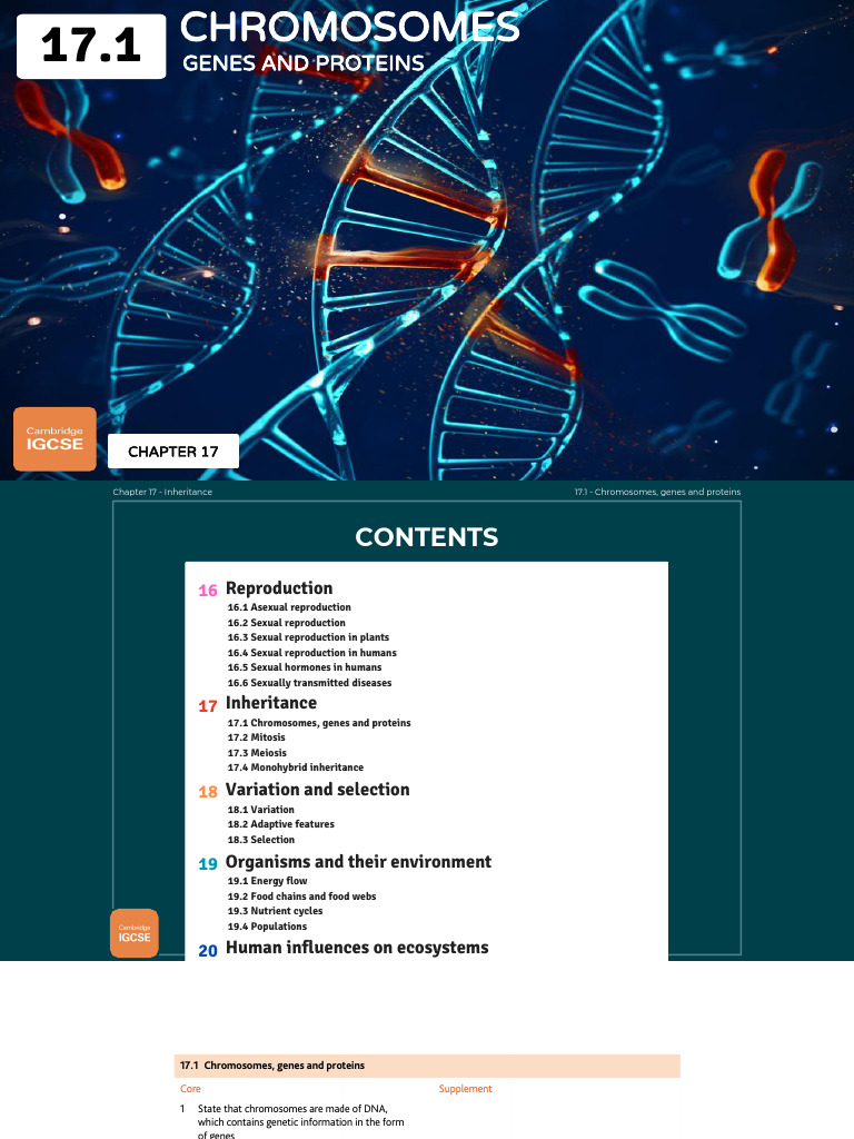 Chapter 17 Inheritance | PDF | Genotype | Dominance (Genetics)
