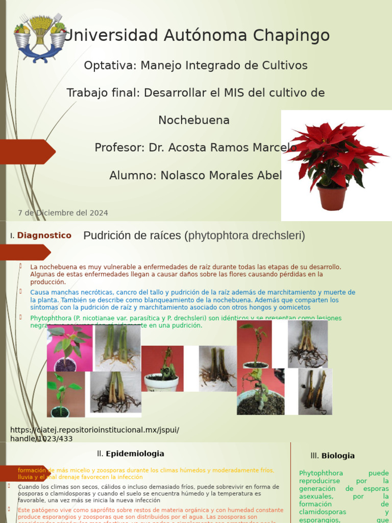 Universidad Autónoma Chapingo | PDF