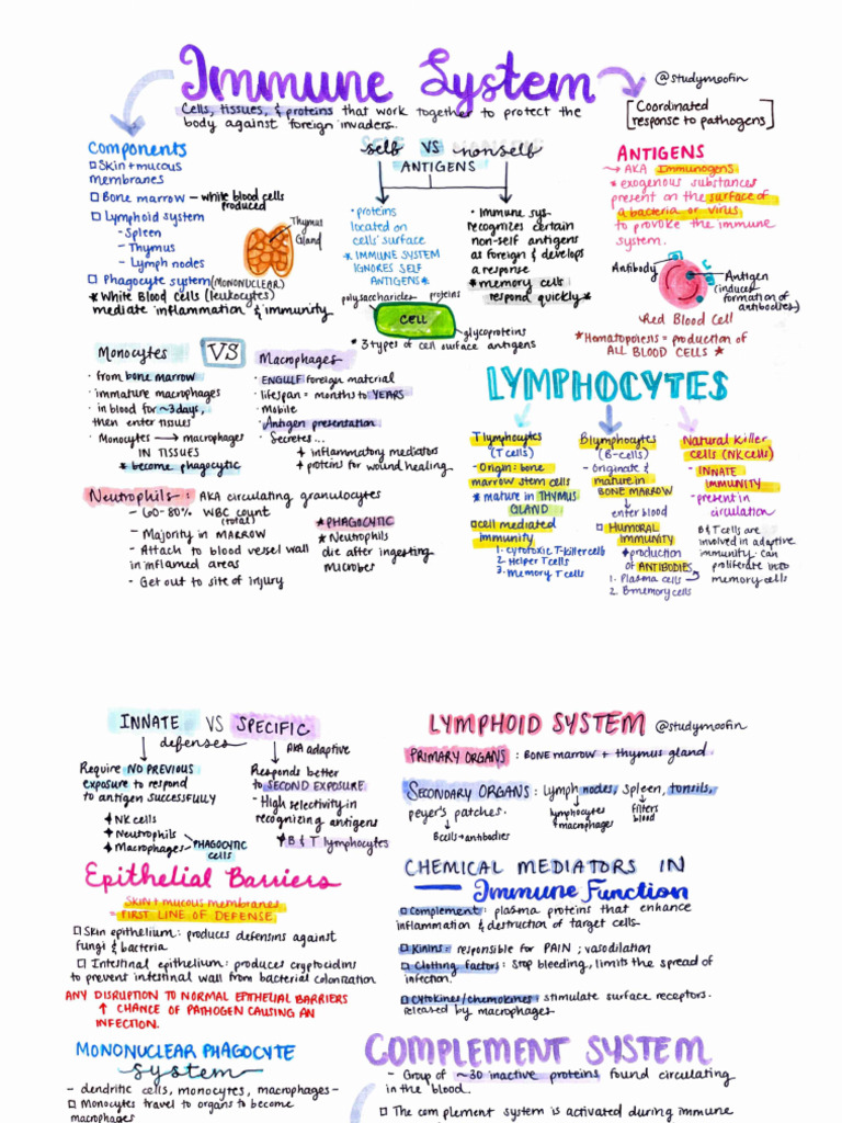 Immune System Notes Bundle Study Mo of in | PDF