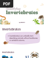 Invertebrate Classification Overview | PDF | Invertebrate | Biology