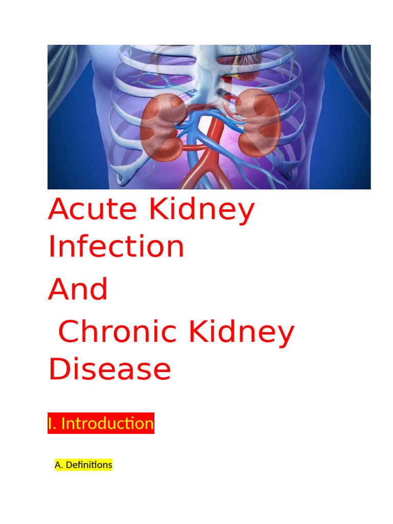 Acute Kidney Infection | PDF | Kidney | Medicine