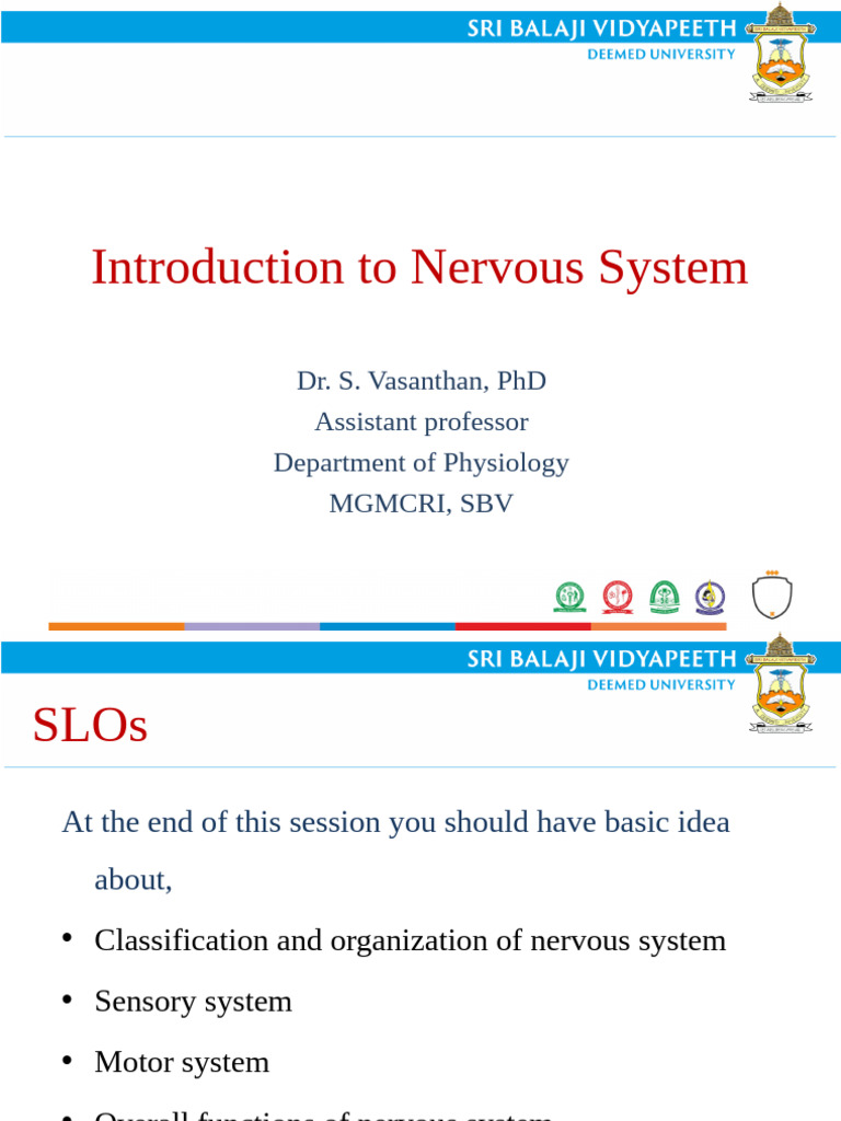 Introduction To Nervous System | PDF | Neuron | Central Nervous System