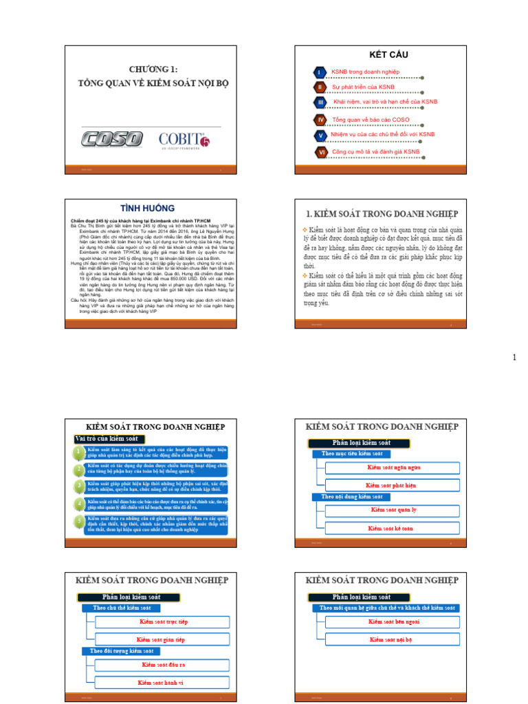 Chương 1 - Tổng quan về KSNB neu | PDF