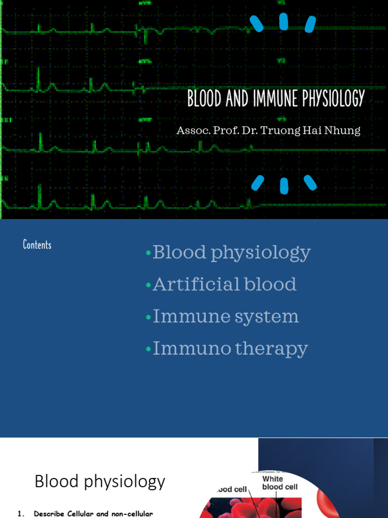 Blood Circulation Immune | PDF | Red Blood Cell | Blood