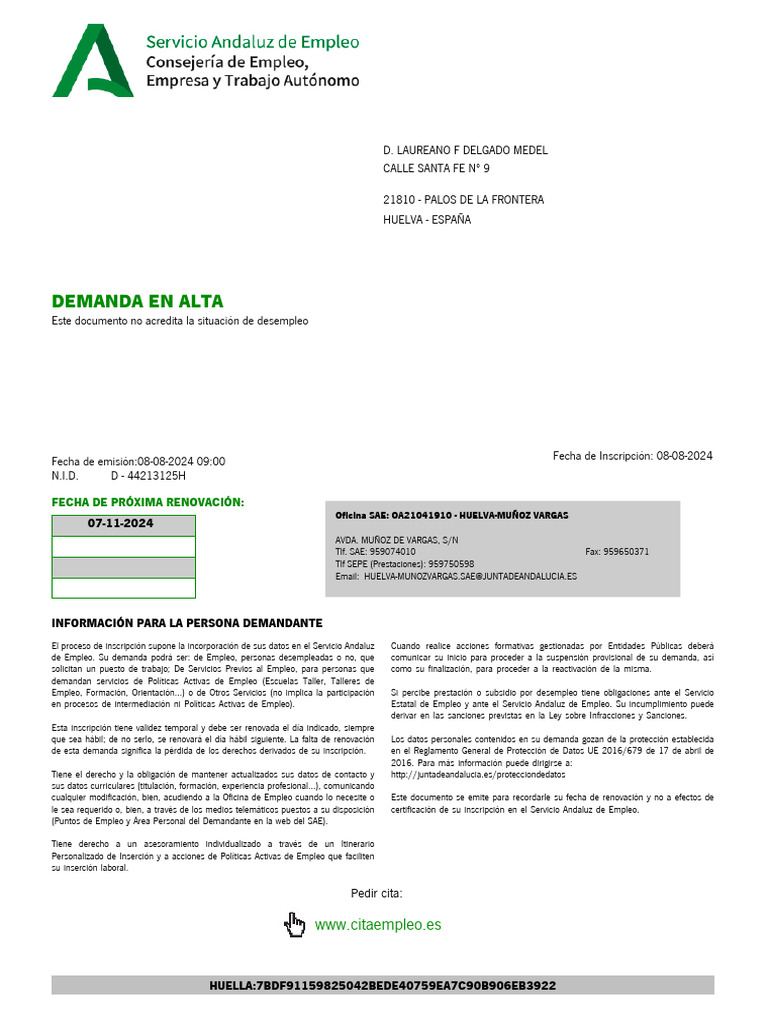 SAE_informe_DARDE | PDF | Empleo | Desempleo