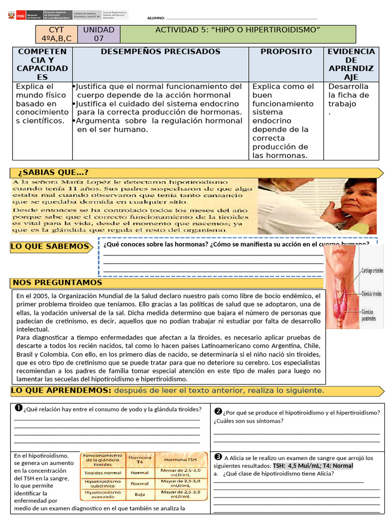 Ficha de Hipo o Hipertiroidismo-u7-s6-Ct4º | PDF | Hipotiroidismo | Hipertiroidismo