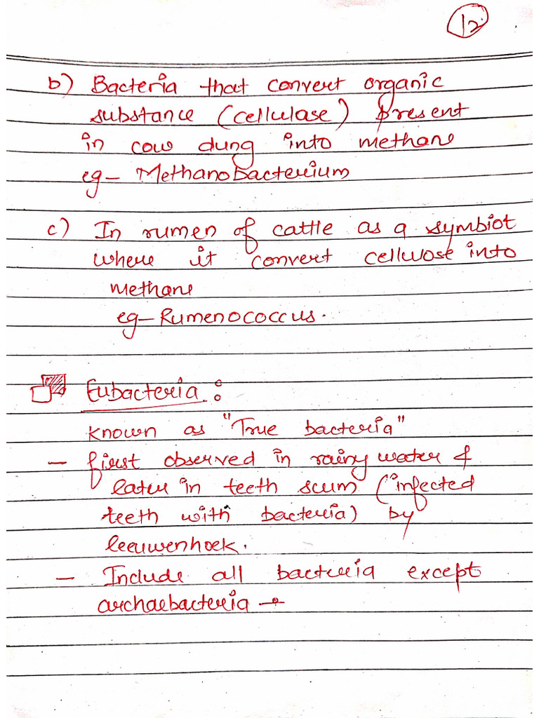Eubacteria and Their Shape | PDF
