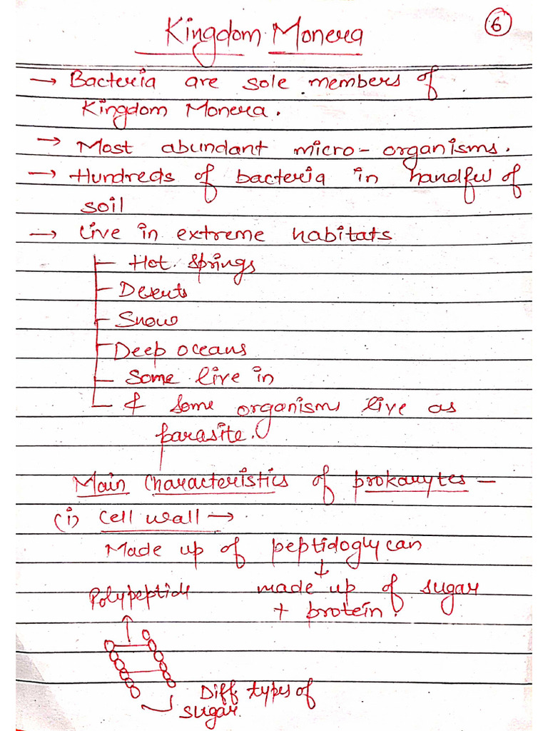 Kingdom Monera Characteristics and Archaebacteria | PDF