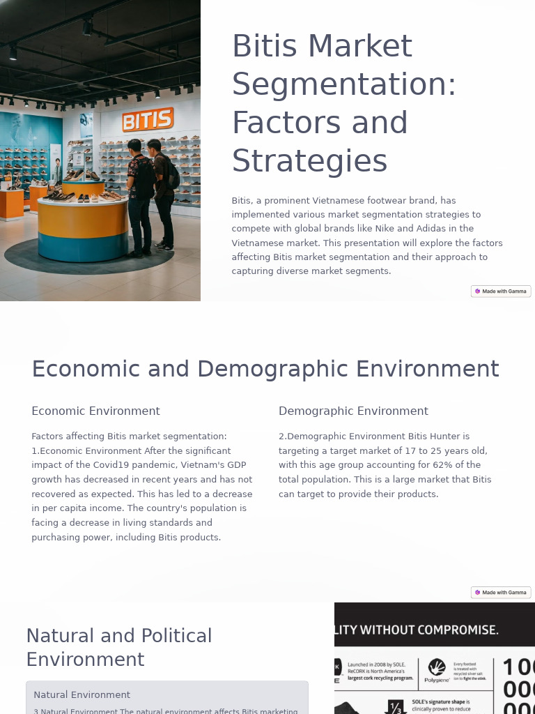 Bitis Market Segmentation Factors and Strategies | PDF | Market ...