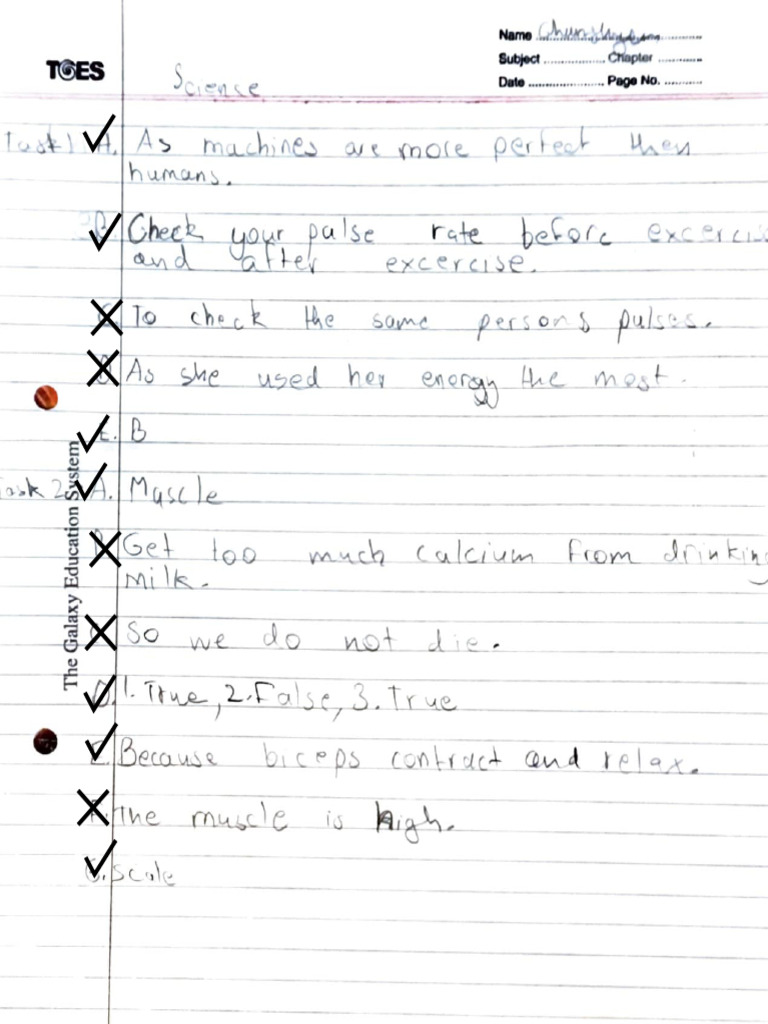 Science Booklet 5 | PDF