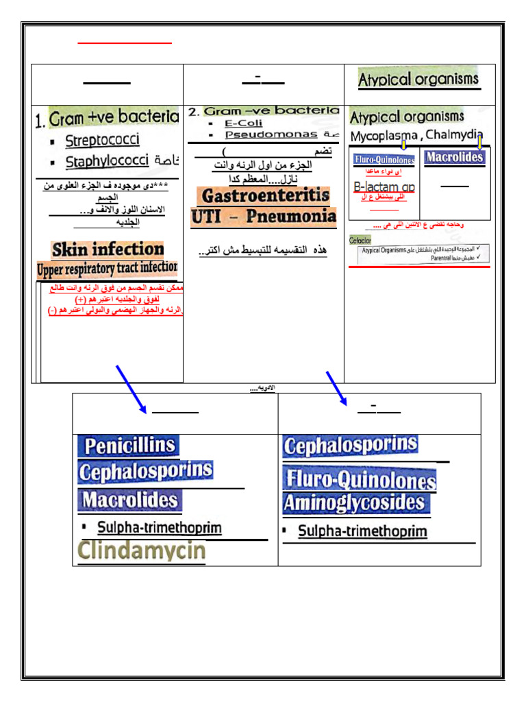 Floxavid and Streptoqin Overview | PDF | Drugs | Clinical Medicine