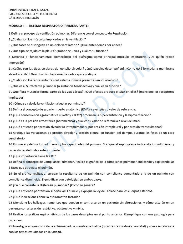 MODULO III SISTEMA RESPIRATORIO Fisio | PDF | Sistema respiratorio | Pulmón